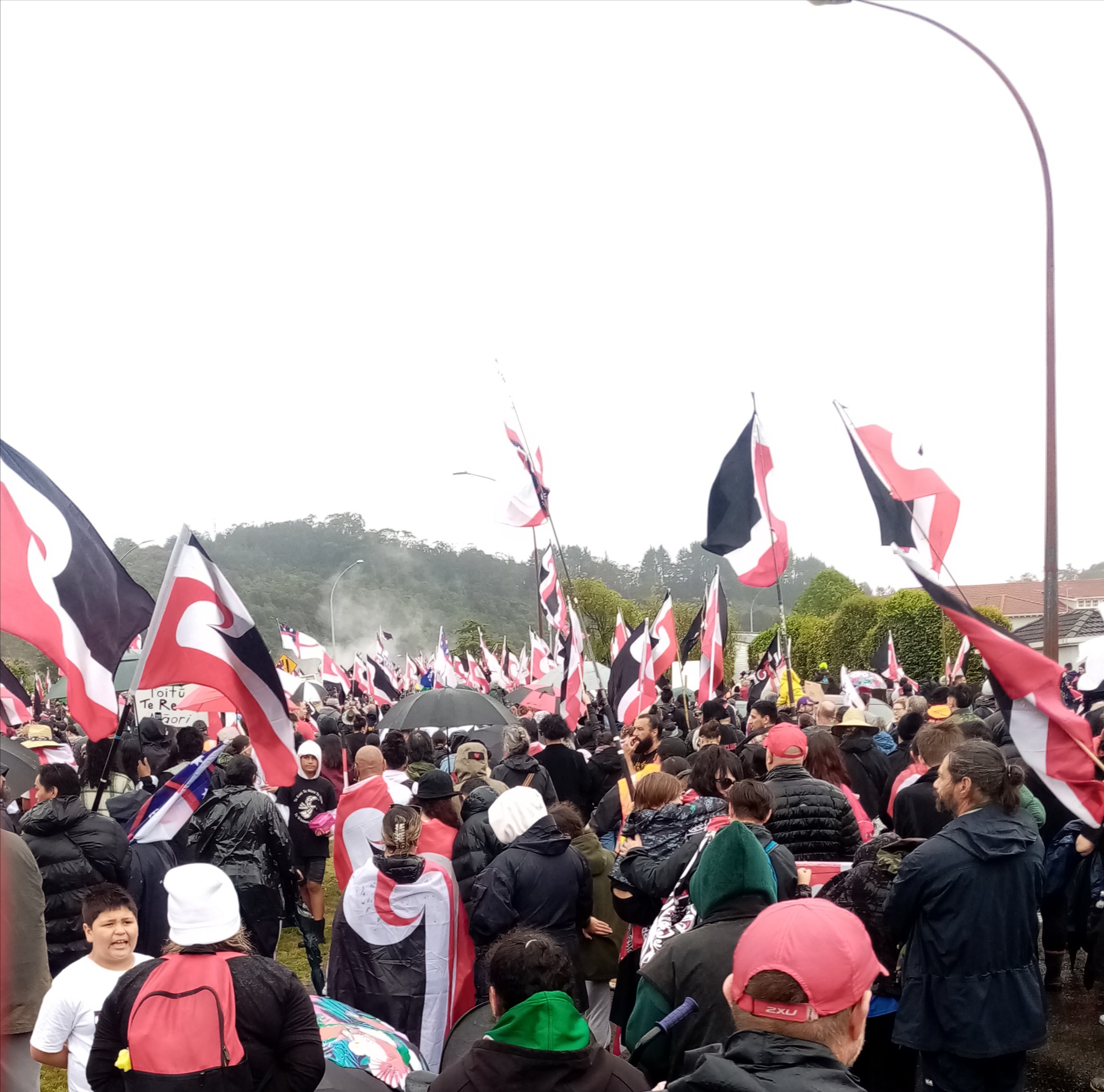 Aotearoa/New Zealand: Treaty Principles Hikoi | libcom.org